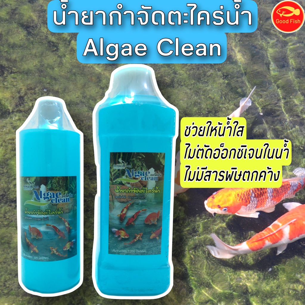 น้ำยากำจัดตะไคร่น้ำ ไม่มีสารพิษตกค้าง ไม่ตัดอ็อกซิเจนในน้ำ MEDIFISH Algae Clean | Shopee Thailand
