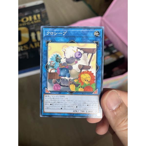 IGAS-JP047 - Clotheep - Common rare | Shopee Thailand