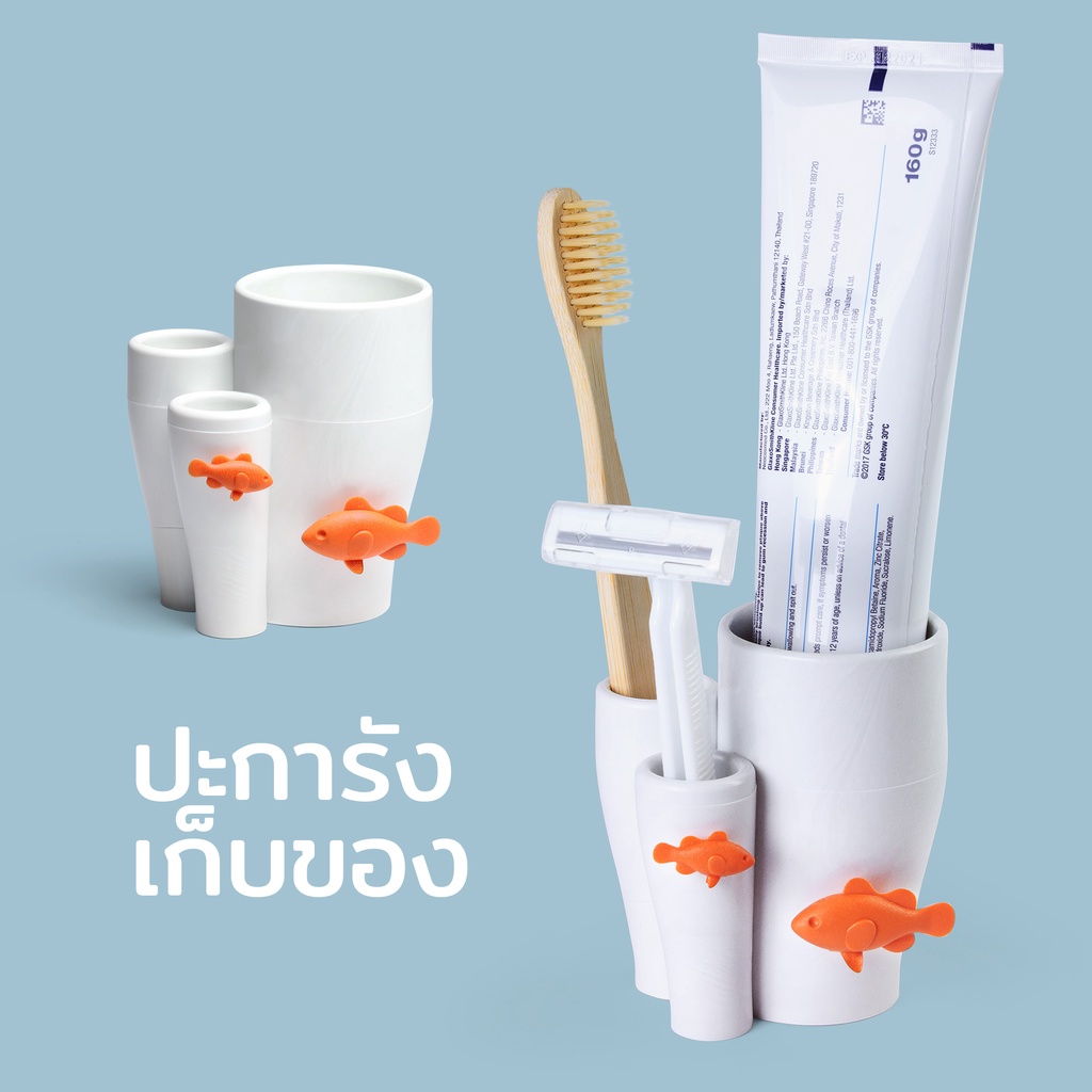 Coral toothbrush holder ที่เก็บแปรงสีฟัน ยาสีฟัน ที่ใส่ของ ดีไซน์ ...