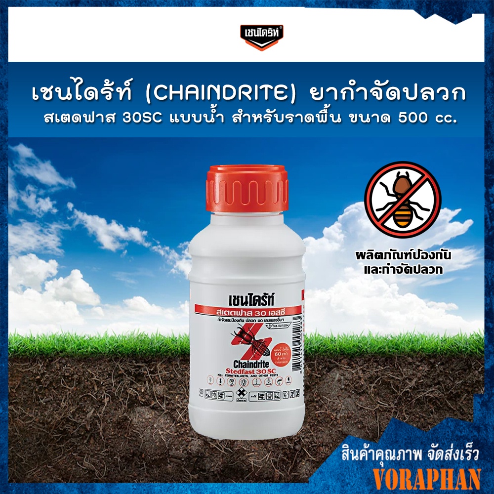 เชนไดร้ท์ (CHAINDRITE) ยากำจัดปลวก สเตดฟาส 30SC แบบน้ำสำหรับราดพื้น ...
