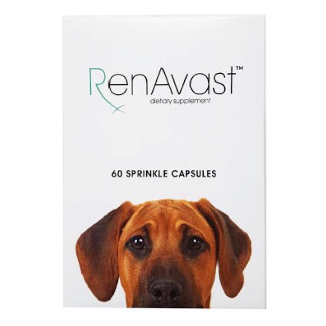 RenAvast dietary supplement capsuleอาหารเสริมบำรุงไตสำหรับสุนัข ...
