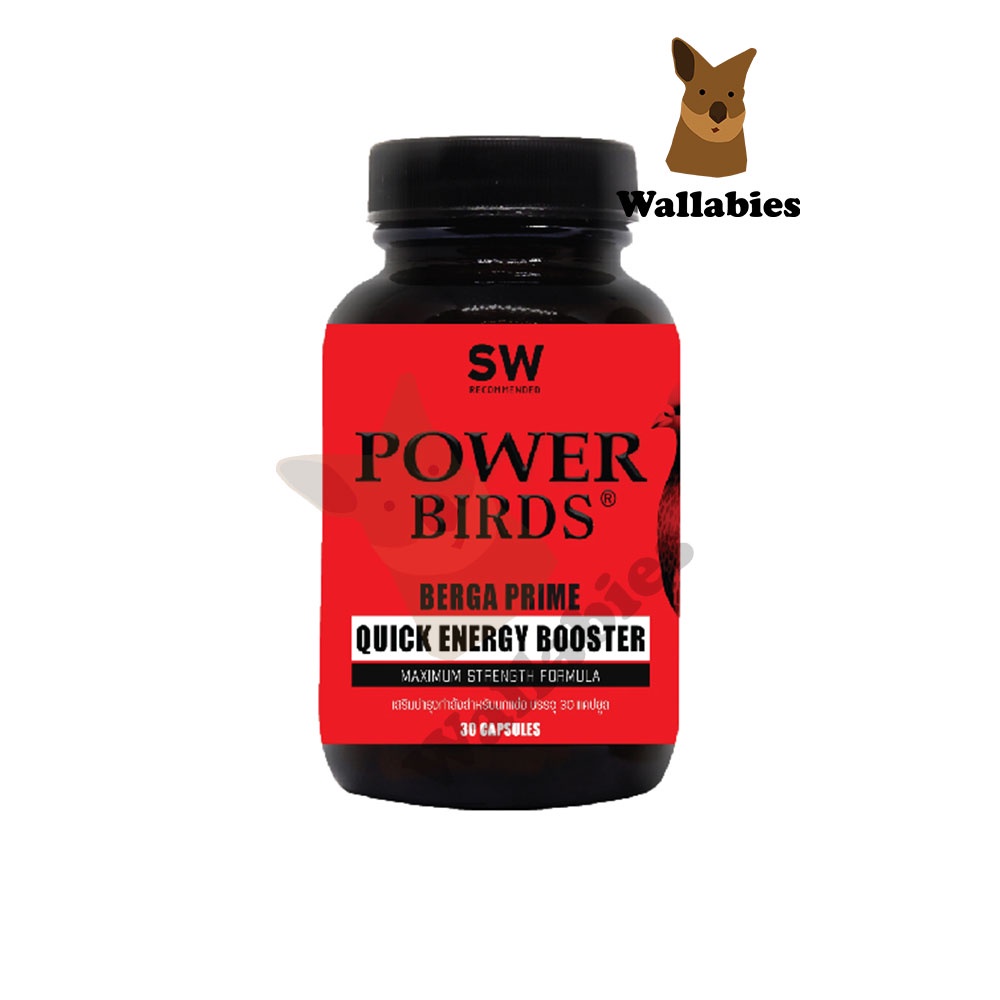 Randolph POWER BIRD QUICK ENERGY เพาเวอร์เบิร์ด อาหารนกจอมพลัง | Shopee ...
