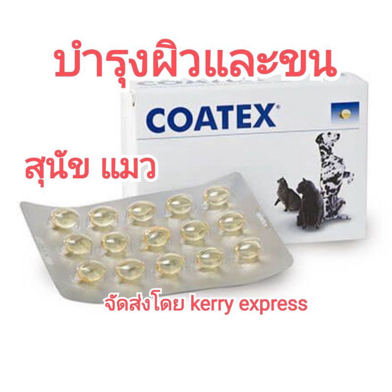 coatex capsule #บำรุงผิวและขน ยาบำรุงขนเข้มข้น | Shopee Thailand