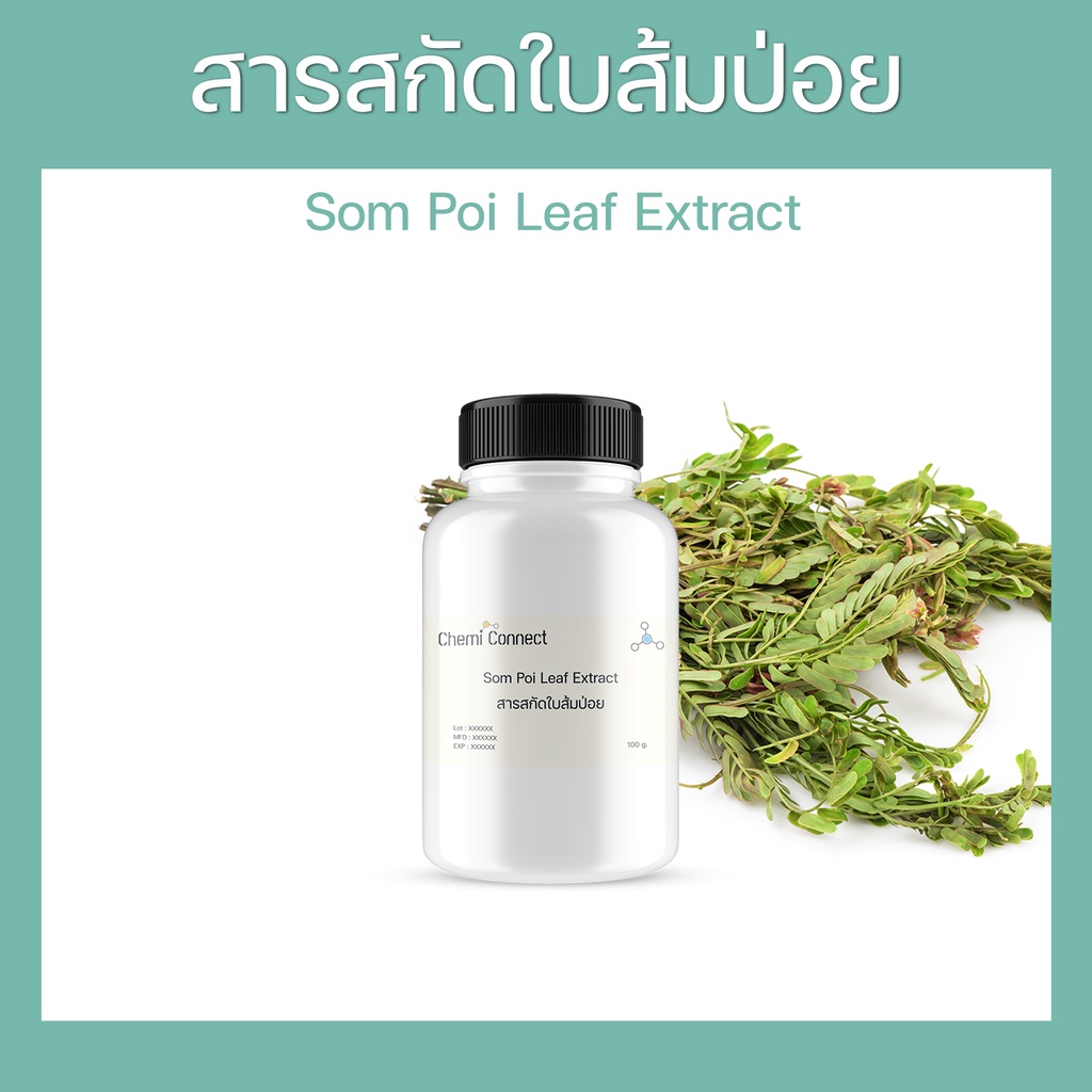 สารสกัดใบส้มป่อย Som Poi Leaf Extract ( Acacia concinna leaf ) ชนิดน้ำ ...