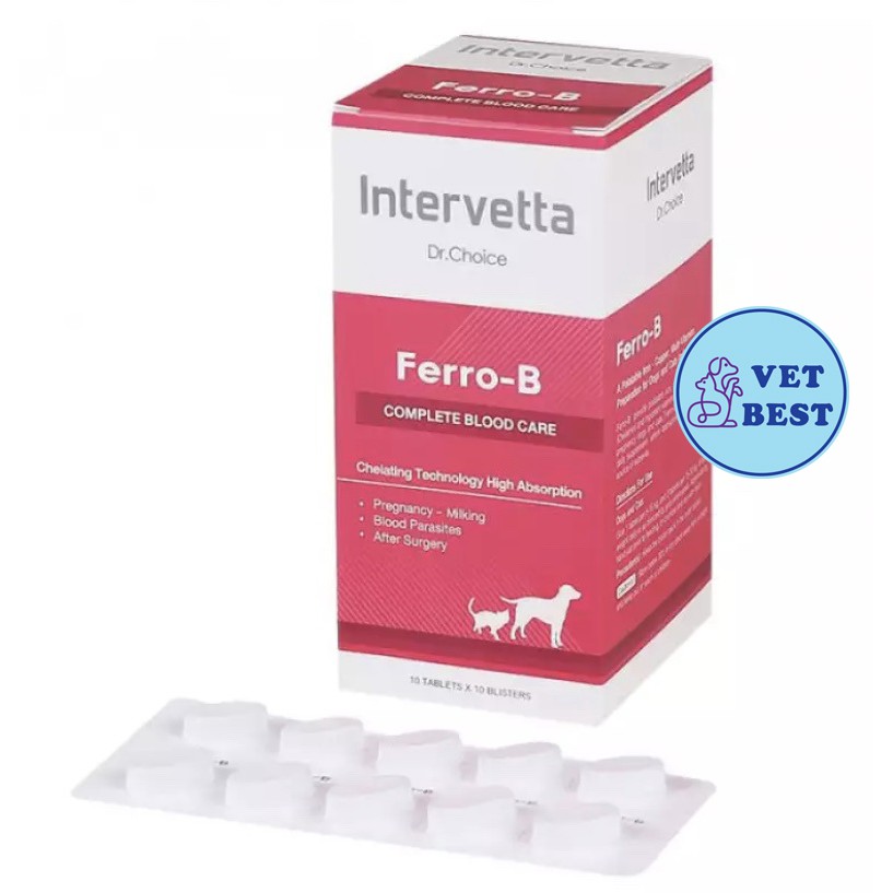 [100 เม็ด] Dr.Choice Ferro-B บำรุงเลือด Exp.2026 แม่พันธุ์ หมาท้อง แมว ...
