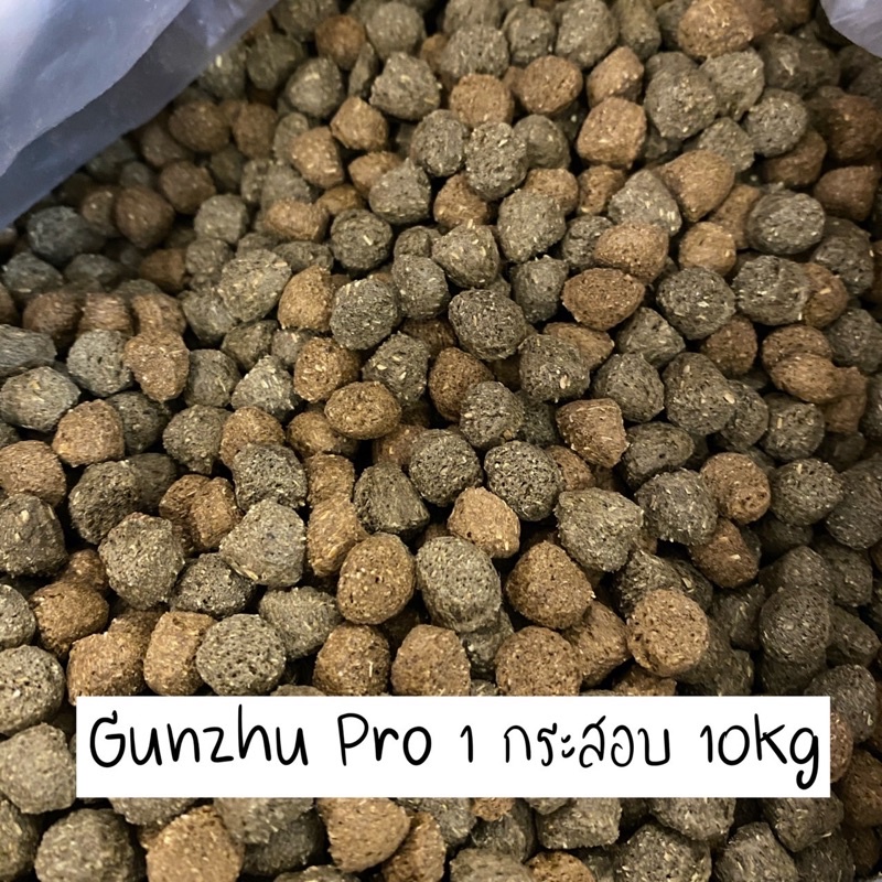 อาหารเต่าบก กันจูโปร สูตรใหม่ 1 กระสอบ 10 โล ถุงใหม่ (Exp.27/3/26 ...