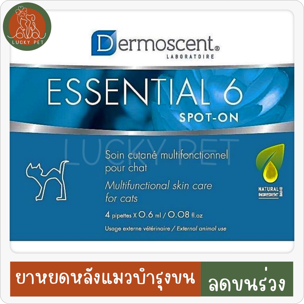 Dermoscent Essential 6 Cat spot-on ยาหยดหลัง บำรุงผิวในแมว 1กล่อง บรรจุ ...