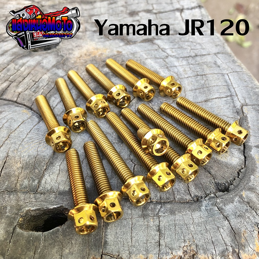น็อตแคร้งเครื่องสแตนเลสแท้ Yamaha JR120 สีทอง 15ตัว ซ้าย-ขวา | Shopee ...