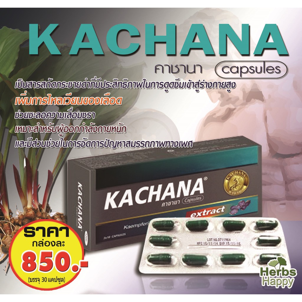 อาหารเสริมชาย KACHANA เพิ่มสมรรถภาพอย่างยั่งยืน แข็ง อึด ทน ได้ผลจริง ...