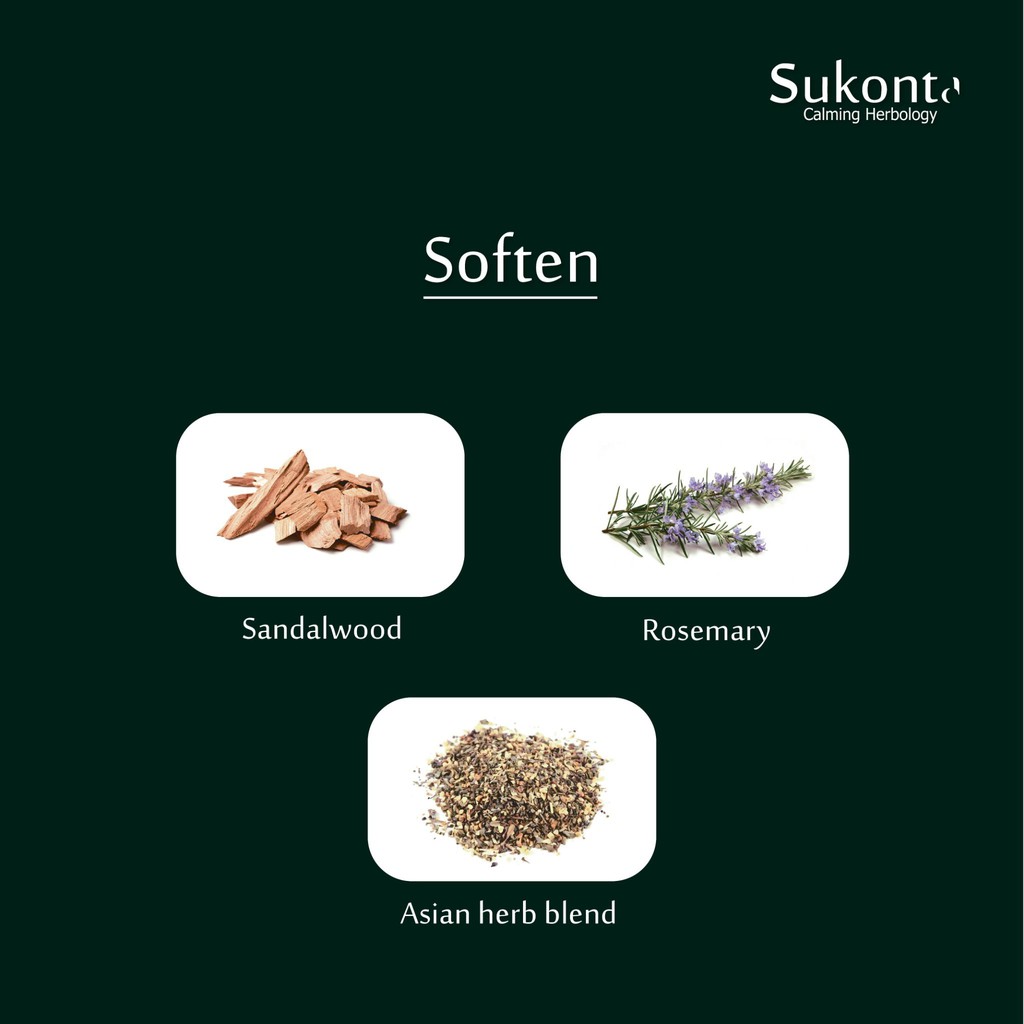 SUKONTA EARTH THERAPEUTIC REED DIFFUSER 200 ML ก้านไม้กระจายกลิ่น ...