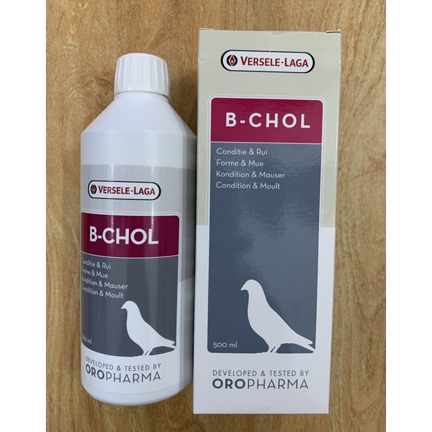 B-CHOL จาก เบลเยี่ยม | Shopee Thailand