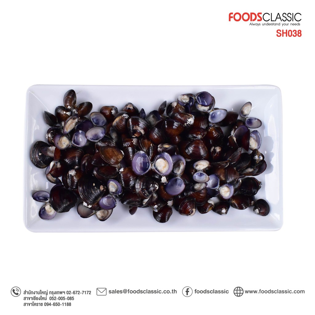 SH038 หอยชิจิมิแช่แข็ง JP / Frozen Shijimi JP,IQF (400-600) / しじみ（東京産） | Shopee Thailand