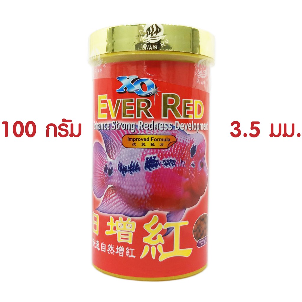 อาหารปลาหมอสี XO Ever Red สูตรเร่งสีแดง กระป๋องแดง | Shopee Thailand