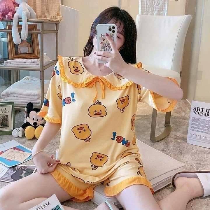 ชุดนอนสไตล์เกาหลี คอบัวลายเป็ดน้อย Shopee Thailand