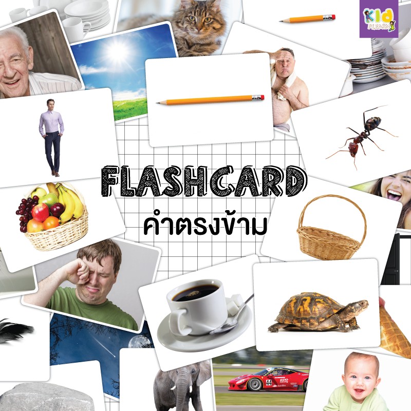 Flashcard คำตรงข้าม (opposite word) | Shopee Thailand