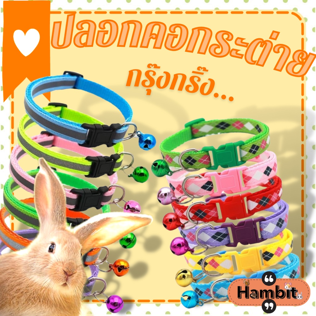 Hambit. ปลอกคอกระต่าย ปลอกคอแมว ปลอกคอลูกสุนัข | Shopee Thailand