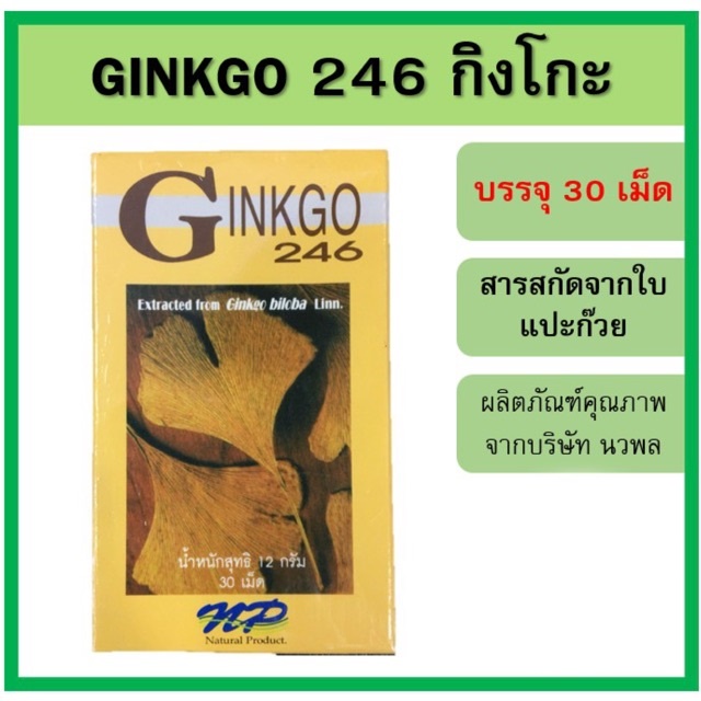 Ginkgo 246 กิงโก๊ะ 246 ใบแป๊ะก๊วย กล่อง 30 เม็ด มีผลต่อความจำ ความคิด ...