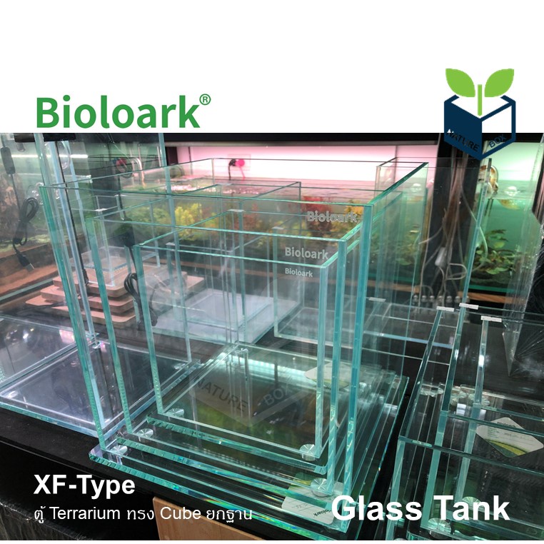 Bioloark Cube Glass Tank (Biolark) (มีสินค้าพร้อมส่ง) ไบโอลาร์ค ตู้ปลา ...