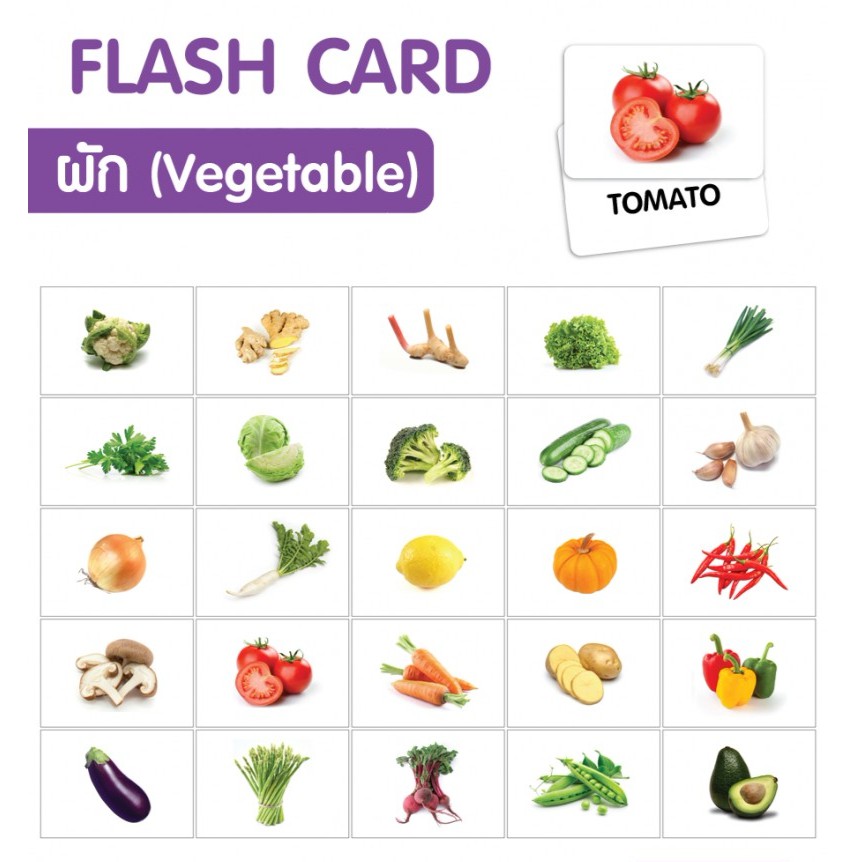 แฟลชการ์ด ผัก (Vegetable FLASH CARDS) | Shopee Thailand