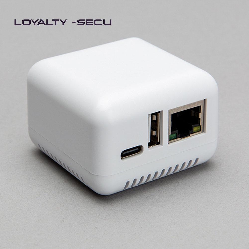 Mini Rj45 เซิร์ฟเวอร์พิมพ์เครือข่าย 1 พอร์ตสําหรับเครื่องพิมพ์ USB สี ...