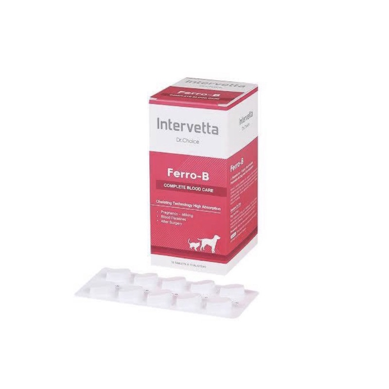 FerroB วิตามินบำรุงเลือดและเสริมแร่ธาตุ ในสัตว์เลี้ยง แบ่งขาย | Shopee ...