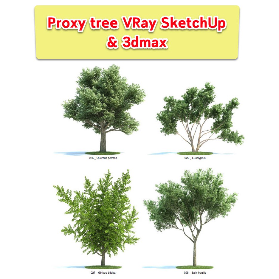Proxy tree for VRay SketchUp & 3dMax (Archmodel v.58) | Shopee Thailand