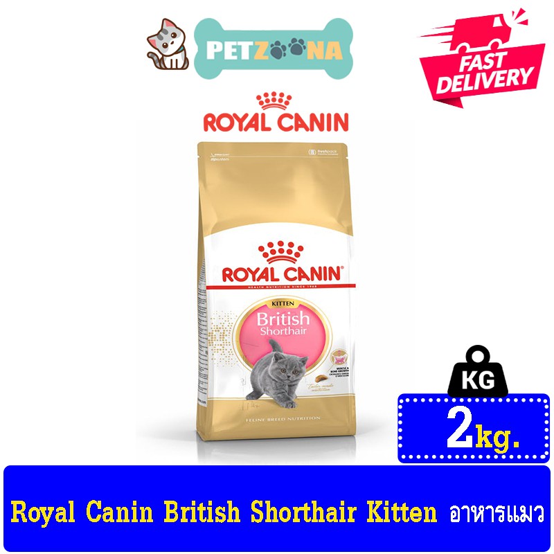 Royal Canin British Shorthair Kitten อาหารแมว สำหรับแมวพันธุ์บริติช ชอร