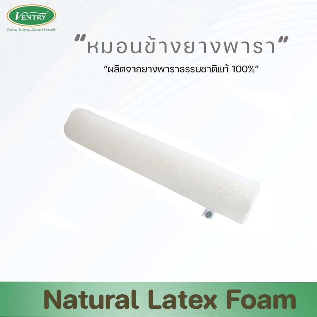 Ventry Bolster pillow หมอนข้างยางพารา สัมผัสนุ่มเด้ง ไม่ยุบ ไม่ยวบ อายุ ...