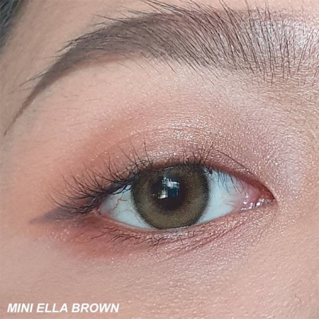 Mini ella brown พร้อมส่งค่าสายตา | Shopee Thailand