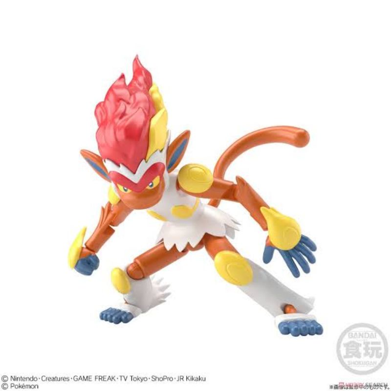 โมเดล โปเกมอน Shodo Pokemon 6 / Action Figure Lugia, Haxorus, Infernape ...