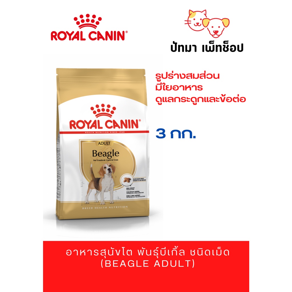 Royal Canin สูตร Adult Beagle 3 กก. | Shopee Thailand