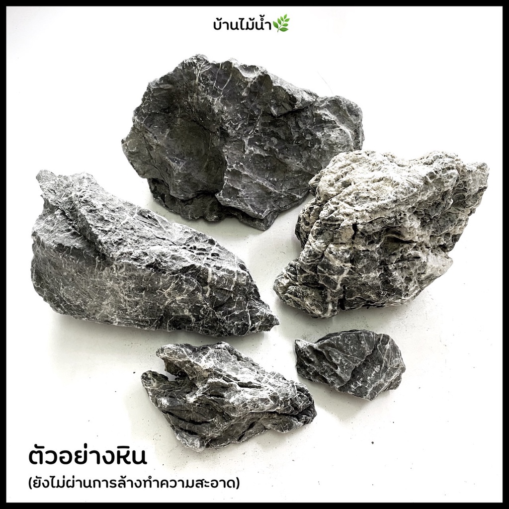 หินเซนริว Zenryu Stone เซนริว ตกแต่ง ตู้ไม้น้ำ ตู้ปลา หินจัดสวน เทอร์ราเรียม | บ้านไม้น้ำ🌿 ...
