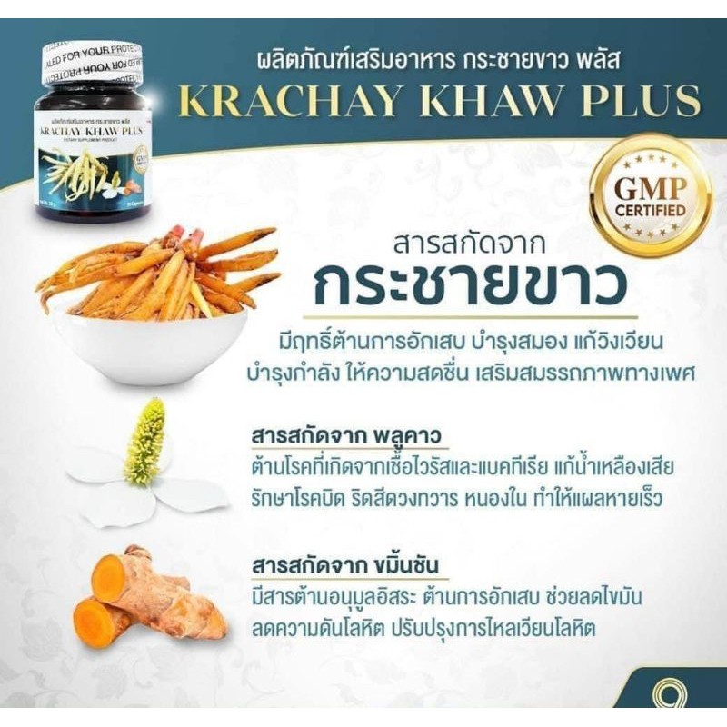 Krachay Khaw Plus กระชายขาวพลัส | Shopee Thailand