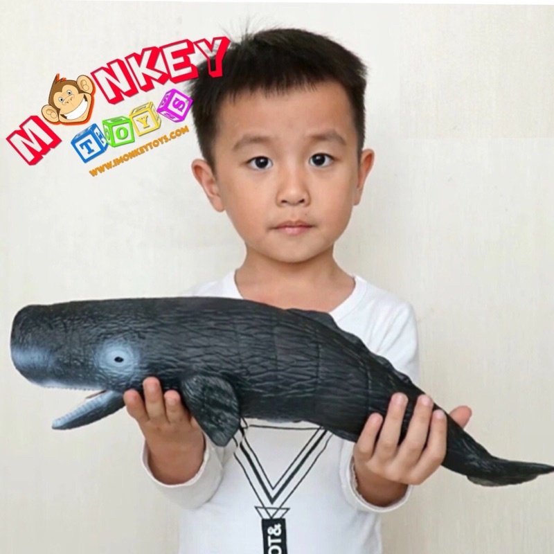 Monkey Toys -โมเดลสัตว์ Whale ปลาวาฬ สเปิร์ม ขนาด 41.00 CM แบบนิ่ม (จากหาดใหญ่) | Shopee Thailand