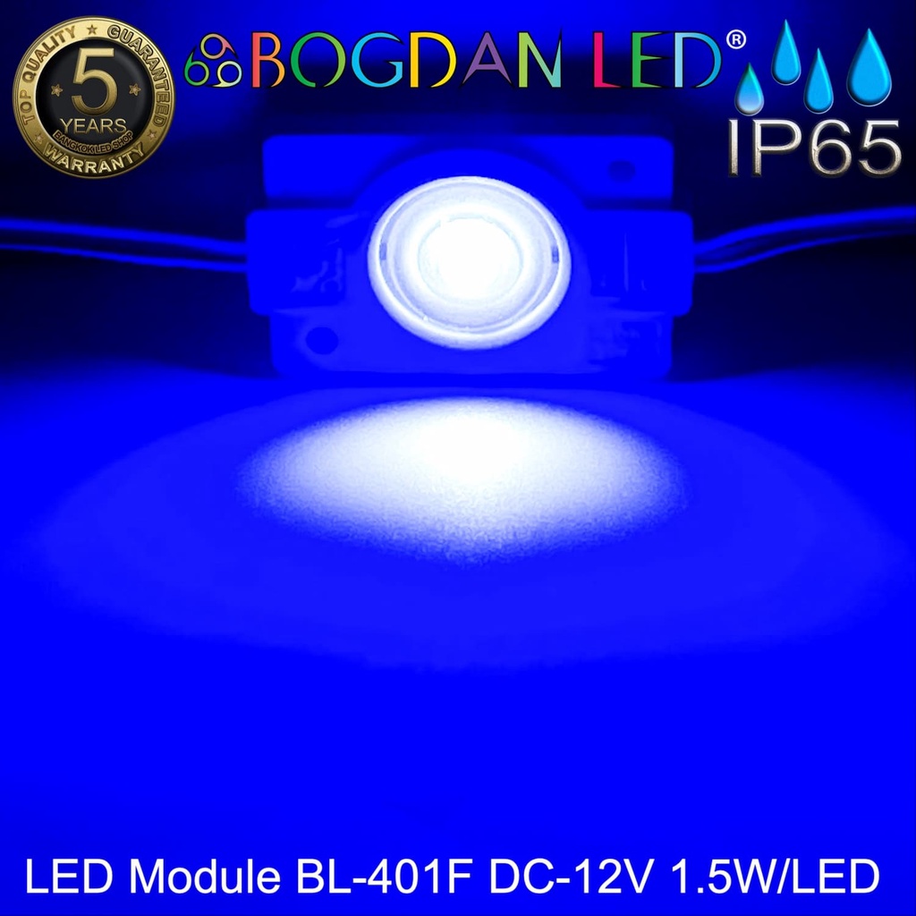 LED Module BL-401F DC-12V 1.5W/Module 30W/Panel แอลอีดีโมดูลกันน้ำIP65 ...