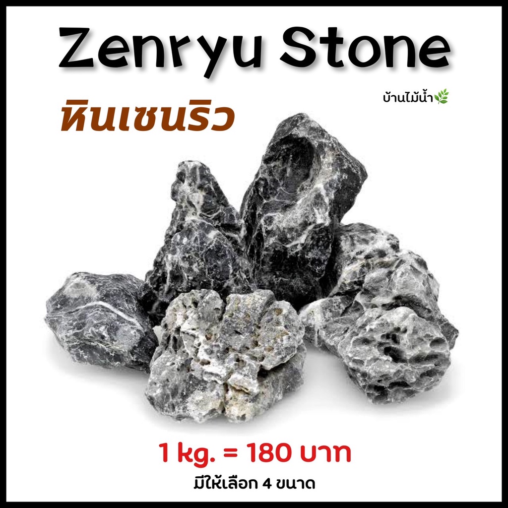 หินเซนริว Zenryu Stone เซนริว หินตกแต่งตู้ไม้น้ำ หินตกแต่งตู้ปลา หินจัดสวน ตู้ปลา ตู้ไม้น้ำ เทอร ...