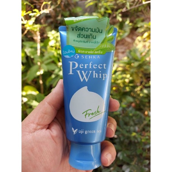 SENKA Perfect Whip FRESH Uji Green Tea 100g. | Shopee Thailand