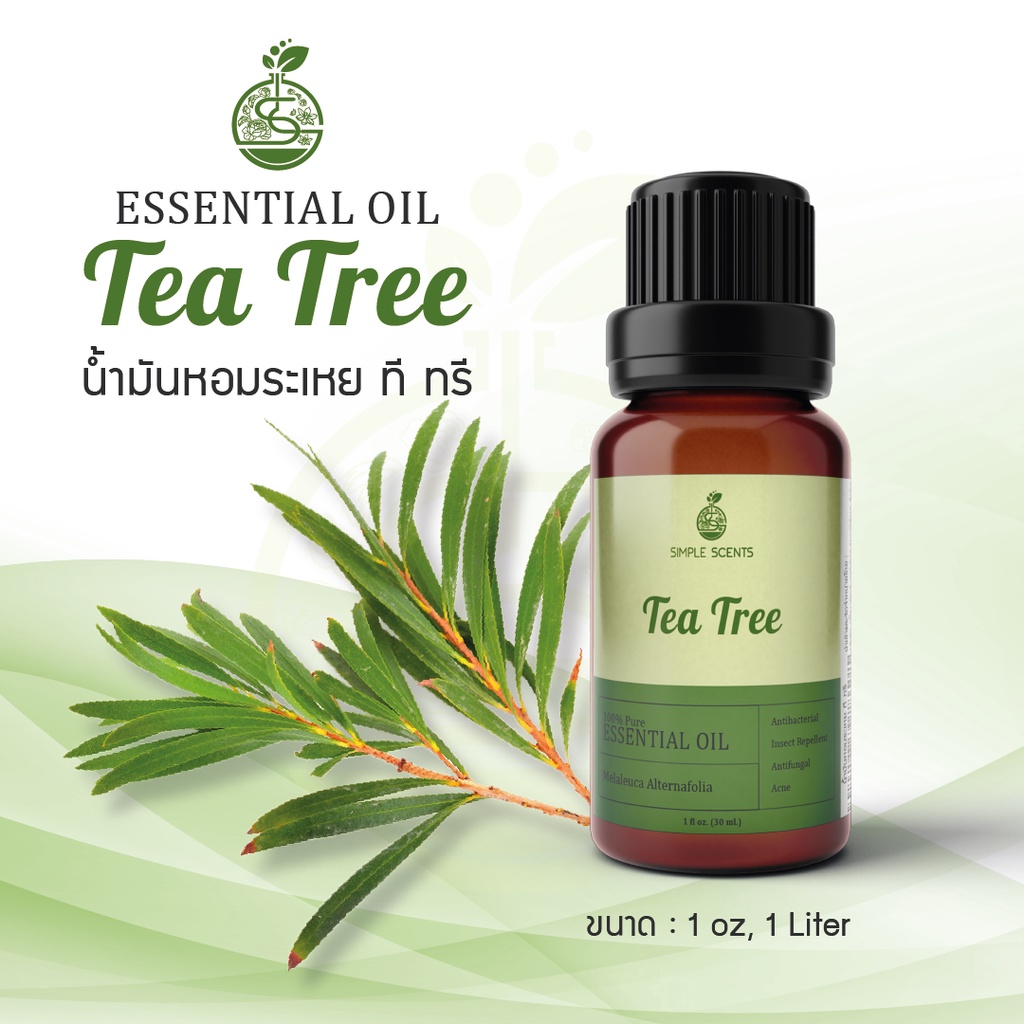 Tea Tree Essential Oil / น้ำมันหอมระเหย ที ทรี / Tea Tree Oil 1 oz ...