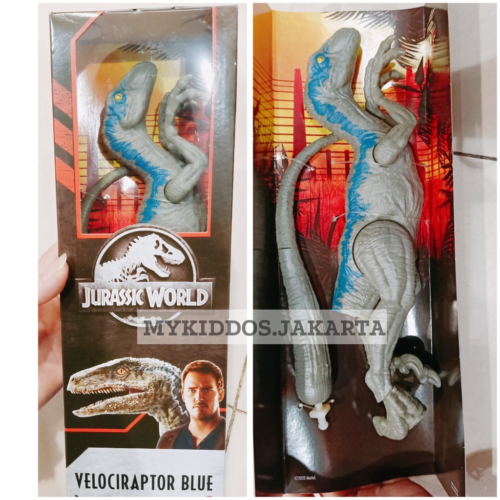 Jurassic World Figure: Dilophosaurus / Velociraptor Blue / Pteranodon ...