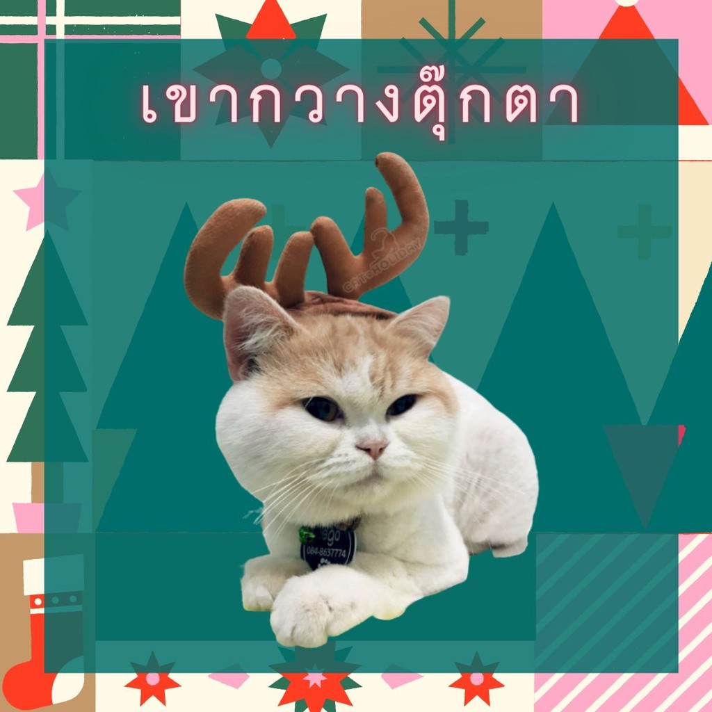 CatHoliday ชุดแต่งกายคริสมาสต์ Set 4 เสื้อคลุมแมว ชุดสัตว์เลี้ยง หมา สุนัข | Shopee Thailand