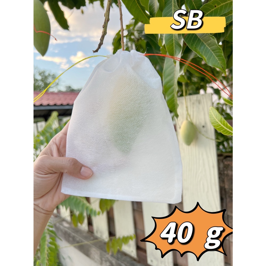 ถุงห่อผลไม้กันแมลงหนาพิเศษ ขนาด C 40g/ SB 40g แพ๊ค 10 ชิ้น ถุงห่อฝรั่ง ห่อกระท้อน ห่อน้อยหน่า ...
