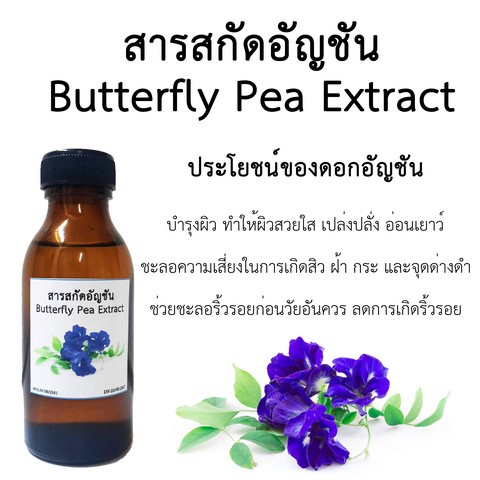 สารสกัดจากดอกอัญชัน (Butterfly Pea Extract) 100 ML. | Shopee Thailand