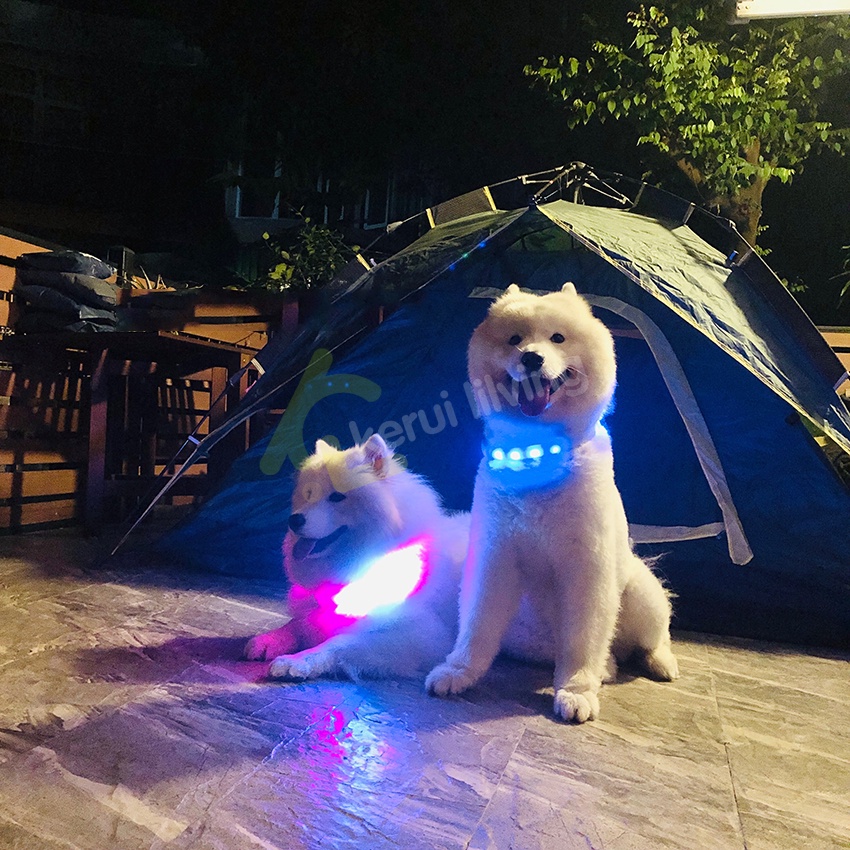 Nuodi ปลอกคอสัตว์เลี้ยง ปลอกคอนิรภัย มีไฟ LED ปลอกคอเรืองแสง ปลอกคอแมว เรืองแสง ชาร์จ USB ปลอกคอ ...