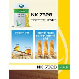 เมล็ดพันธุ์ข้าวโพด NK 7328 ขนาด10 กิโลกรัม สินค้ามีพร้อมส่ง | Shopee ...