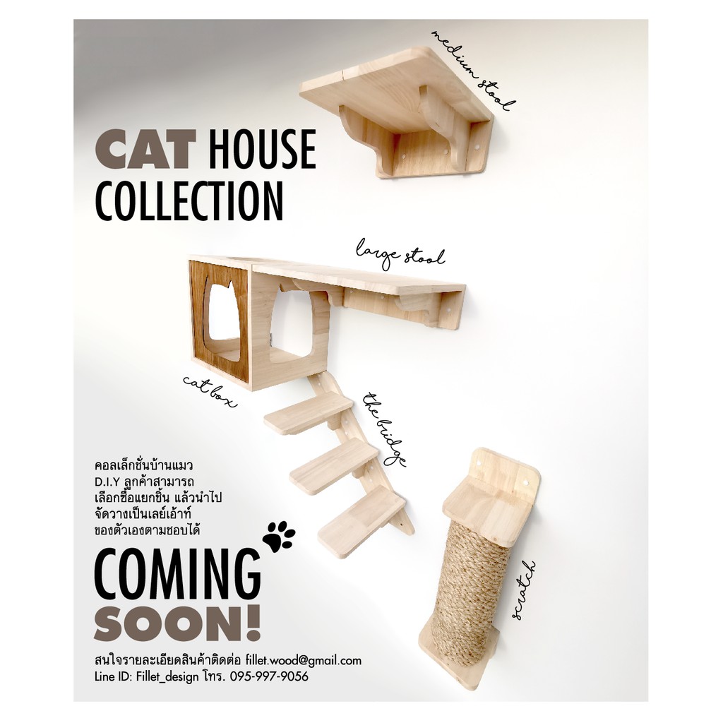 บ้านแมว Cat House | Shopee Thailand