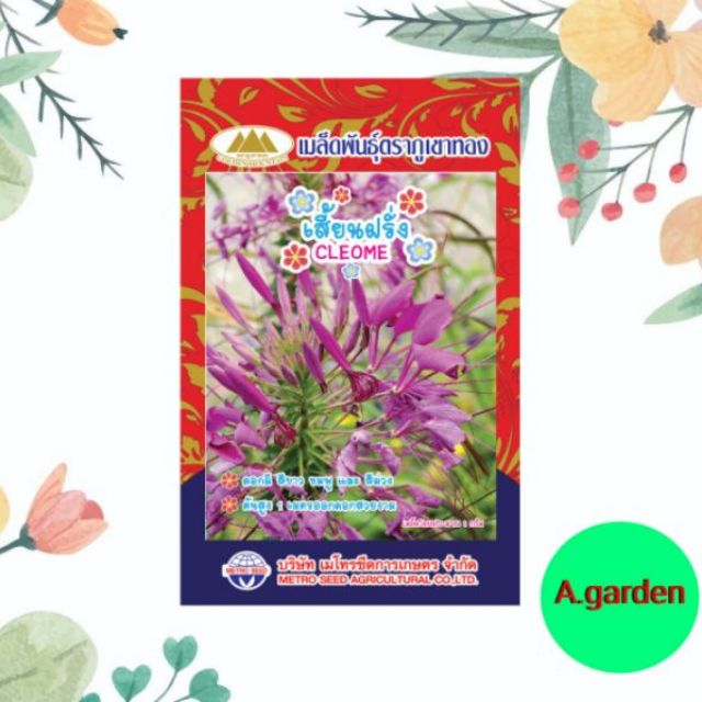 เมล็ดพันธุ์ ดอกเสี้ยนฝรั่ง ( CLEOME ) แพ็ค 10 ซอง | Shopee Thailand