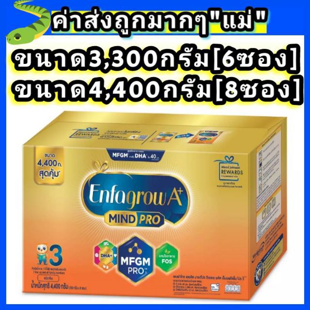 โฉมใหม่ เอนฟาโกร เอพลัส สูตร 3 รสจืด สำหรับ เด็ก 4400 กรัม/3300 กรัม | Shopee Thailand
