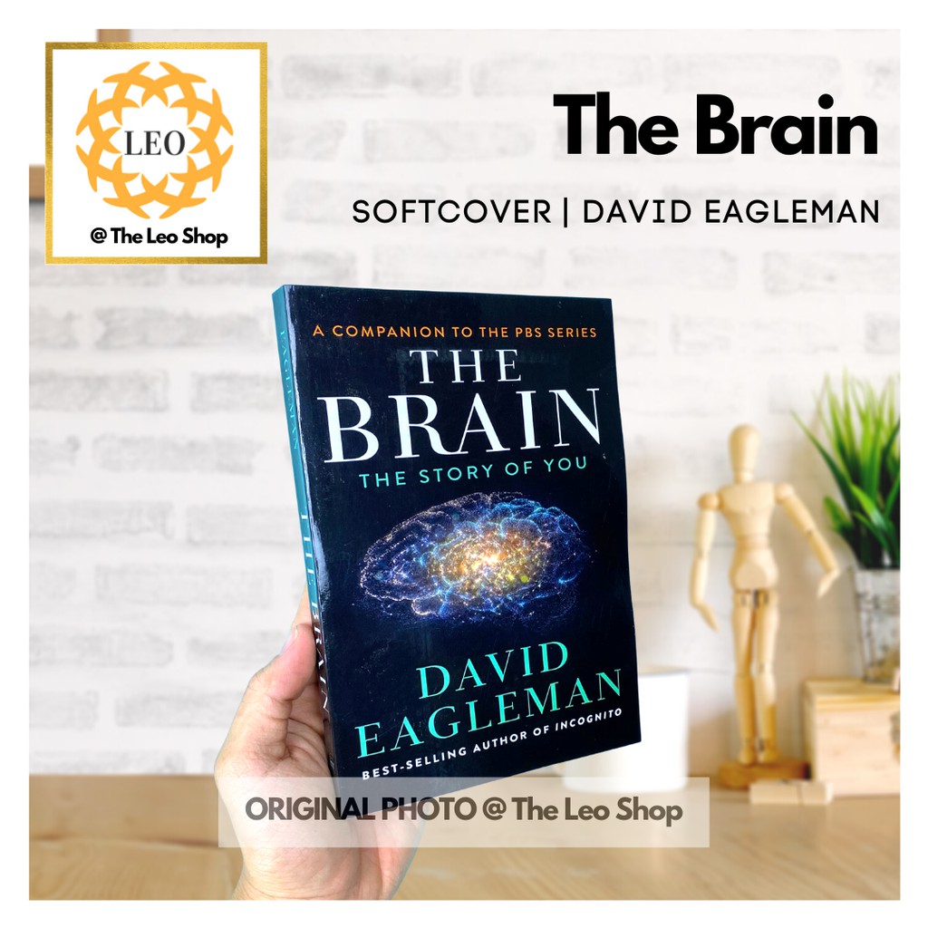 ของเล่น The Brain The Story of You by David Eagleman สําหรับเด็ก ...