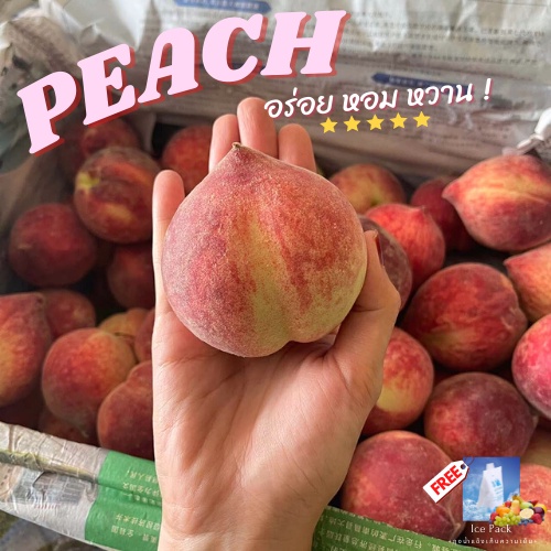 ลูกพีชสดนำเข้า (1ลูก) PEACH (CHN) ~มีของแถมทุกออเดอร์~ พรีเมี่ยม หอม ...