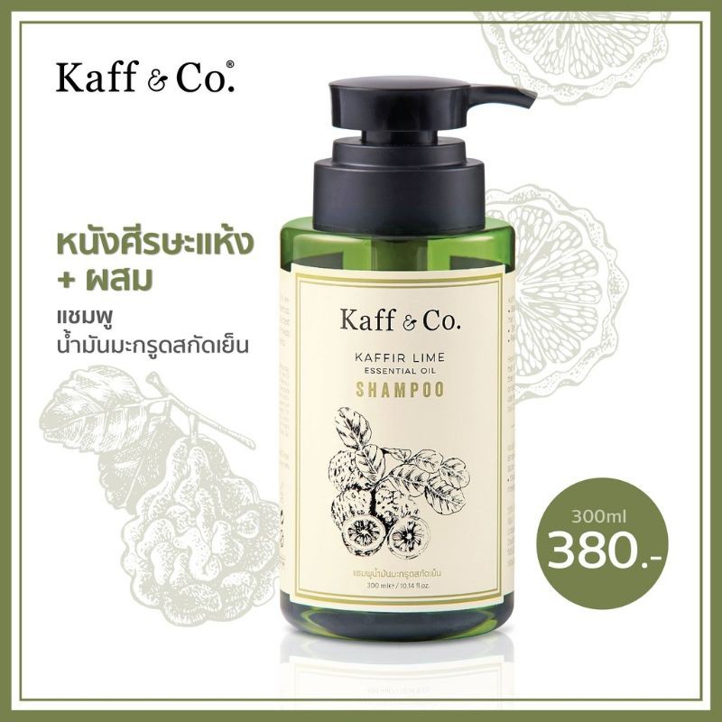 Kaff&Co.Kaffir Lime Essential Oil Shampoo 300ml แชมพูน้ำมันมะกรูดสกัด ... Kaff&Co.Kaffir Lime Essential Oil Shampoo 300ml แชมพูน้ำมันมะกรูดสกัด ...